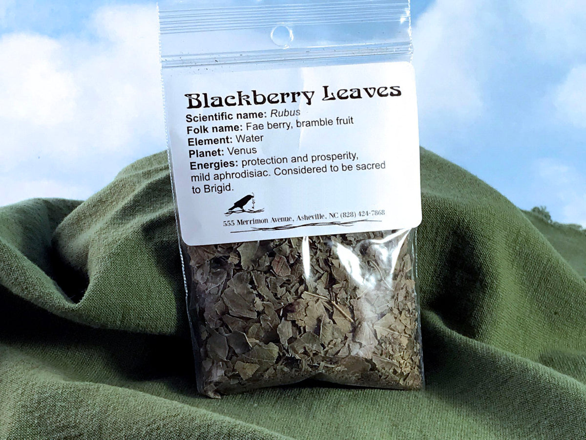 Blackberry Leaves– Asheville Pagan Supply
