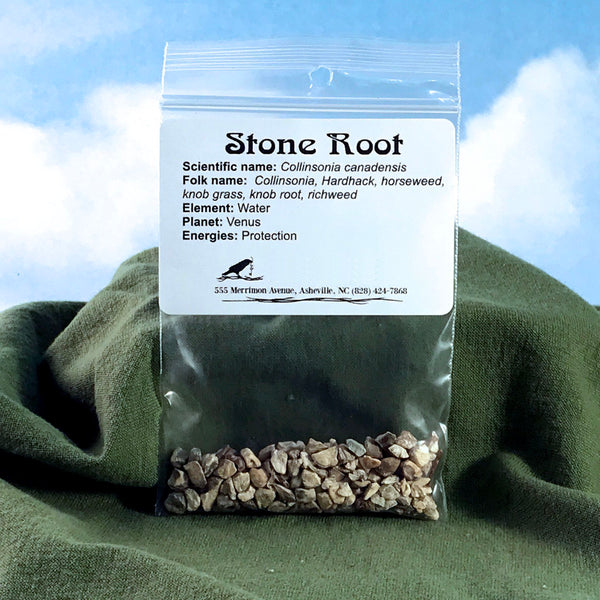 Stone Root - Asheville Pagan Supply